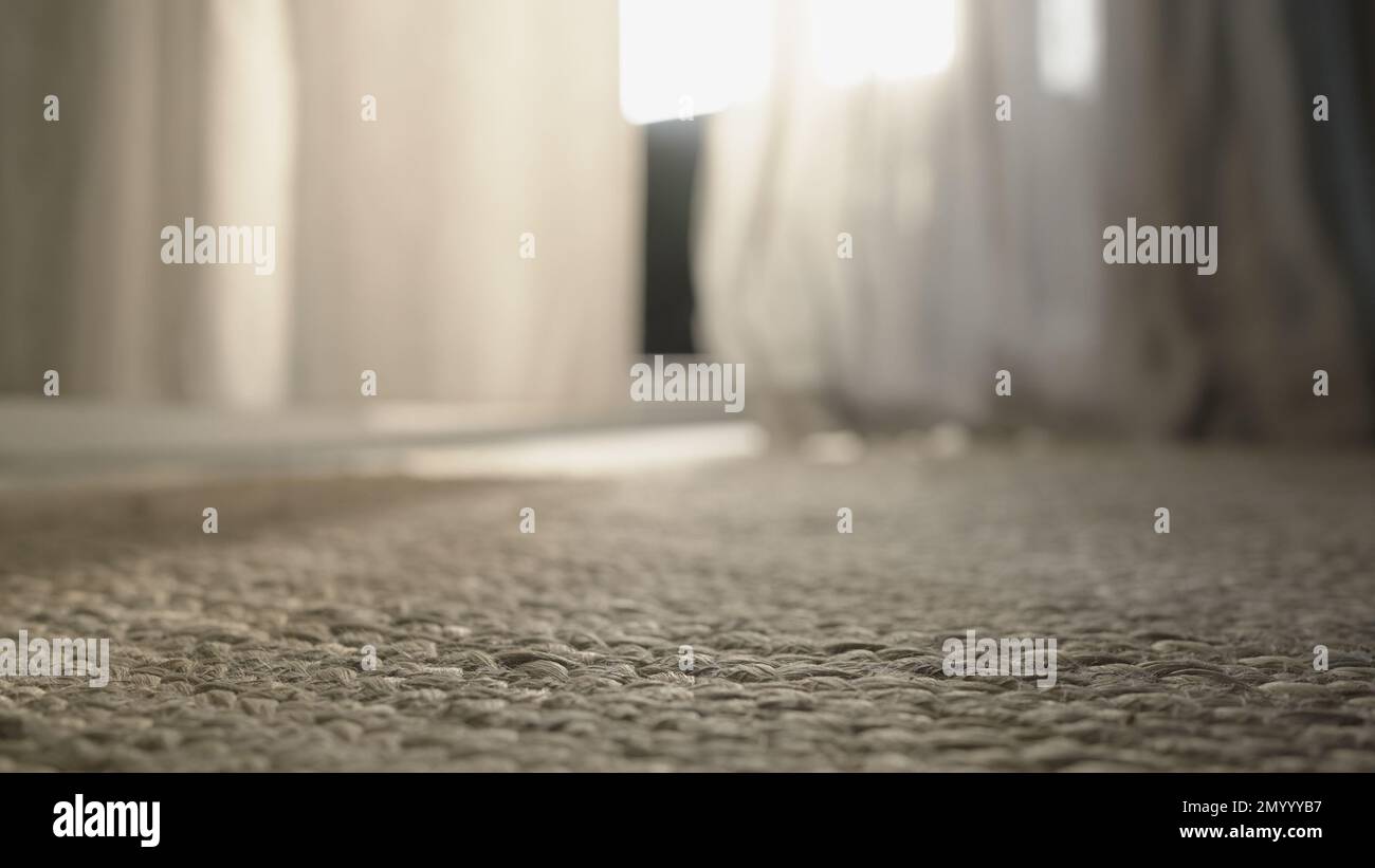 Indoor background of swaying curtains with morning sunlight, wide photo ...