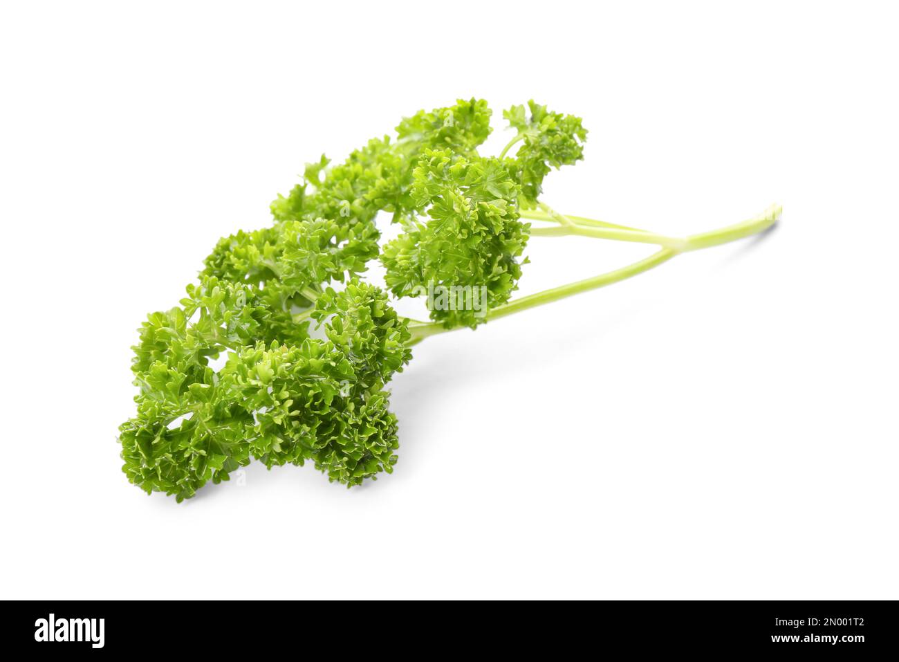 Fresh green curly parsley on white background Stock Photo - Alamy