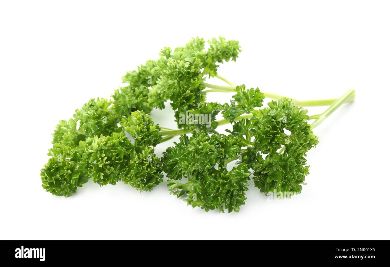 Fresh green curly parsley on white background Stock Photo - Alamy