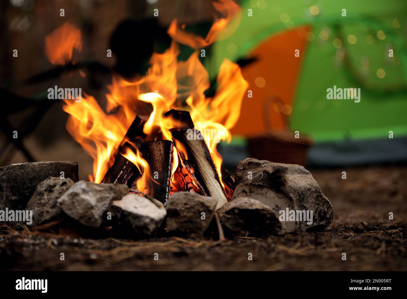 Beautiful bonfire with burning firewood near camping tent in forest ...