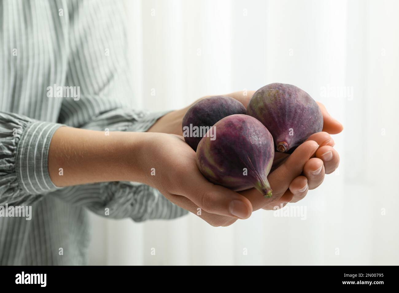 Hand holding purple fig hi-res stock photography and images - Alamy