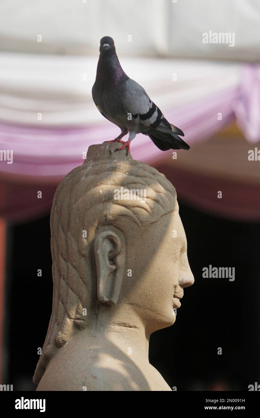 A bird sits on a Brahma head, 10th century stone statues, in Phnom Penh ...