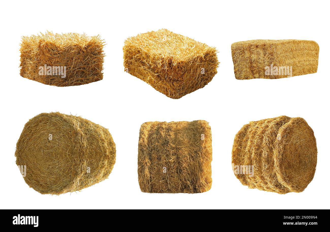 Set of hay bales on white background. Agriculture industry Stock Photo ...