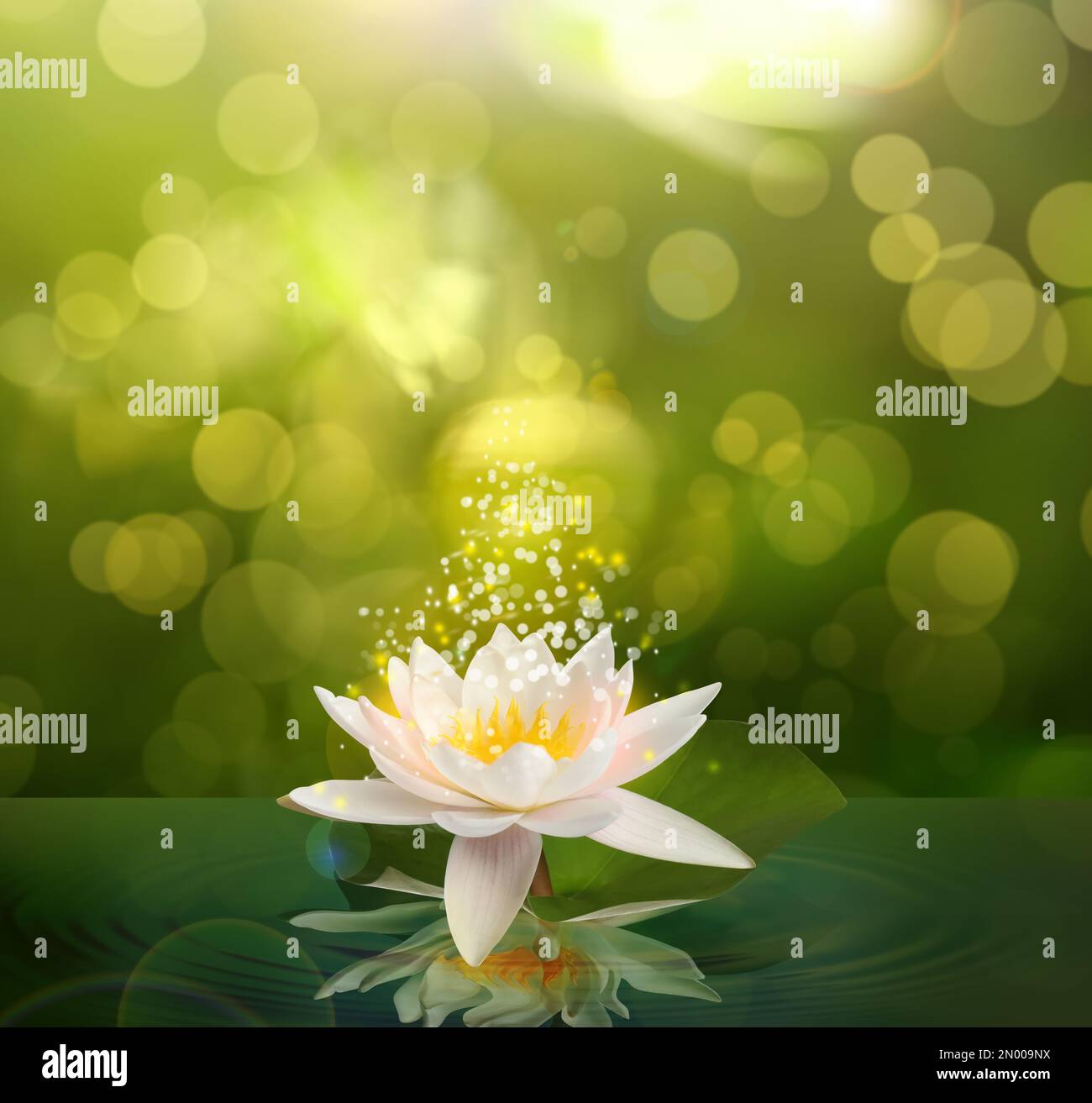 Fantastic lotus flower with sparks on water surface, bokeh effect Stock ...