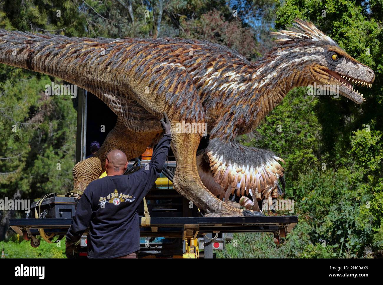 Life-size dinosaurs are delivered at the Los Angeles Zoo for the ...