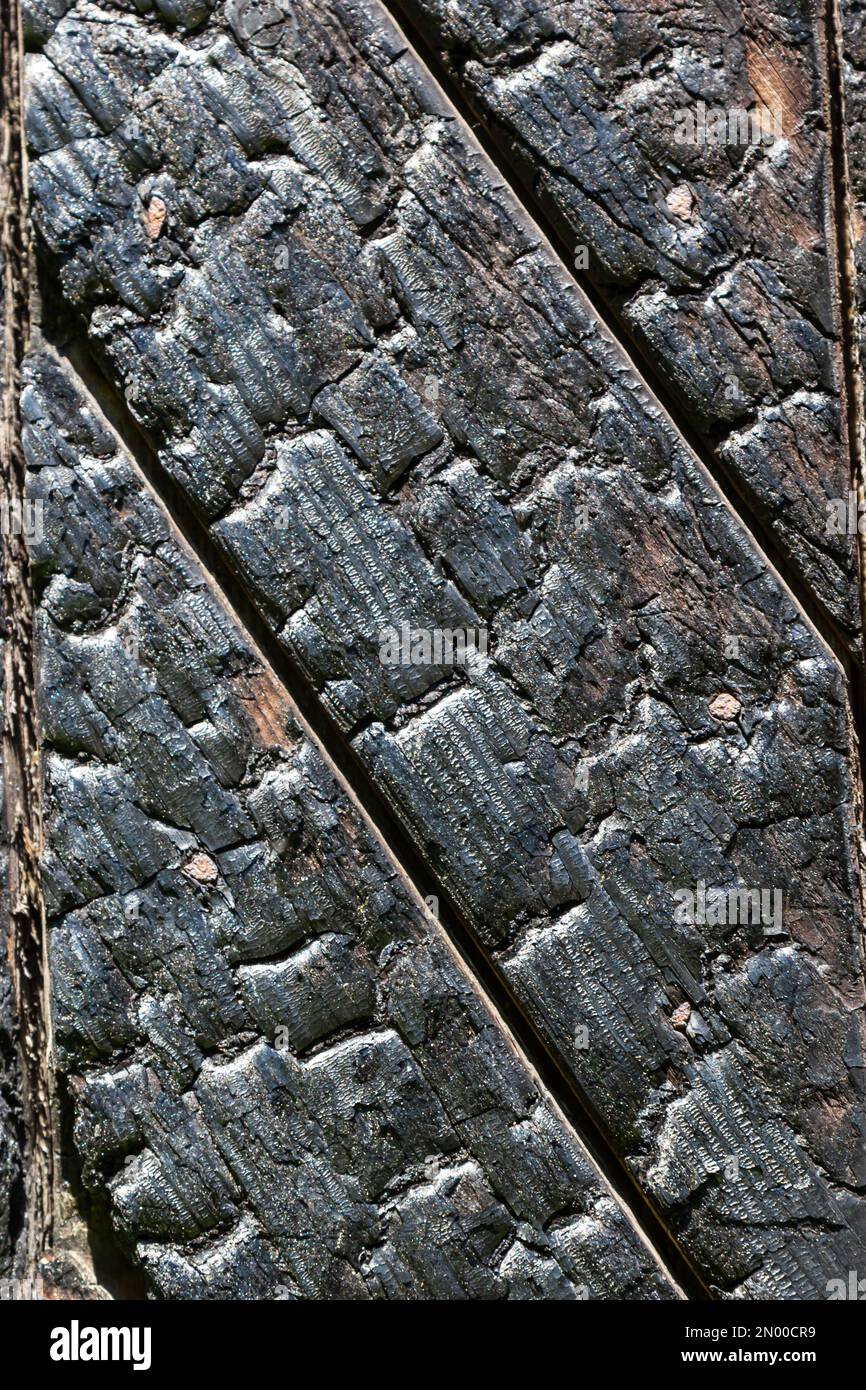 Black wooden board texture, close up. BBQ background. Burnt wooden ...