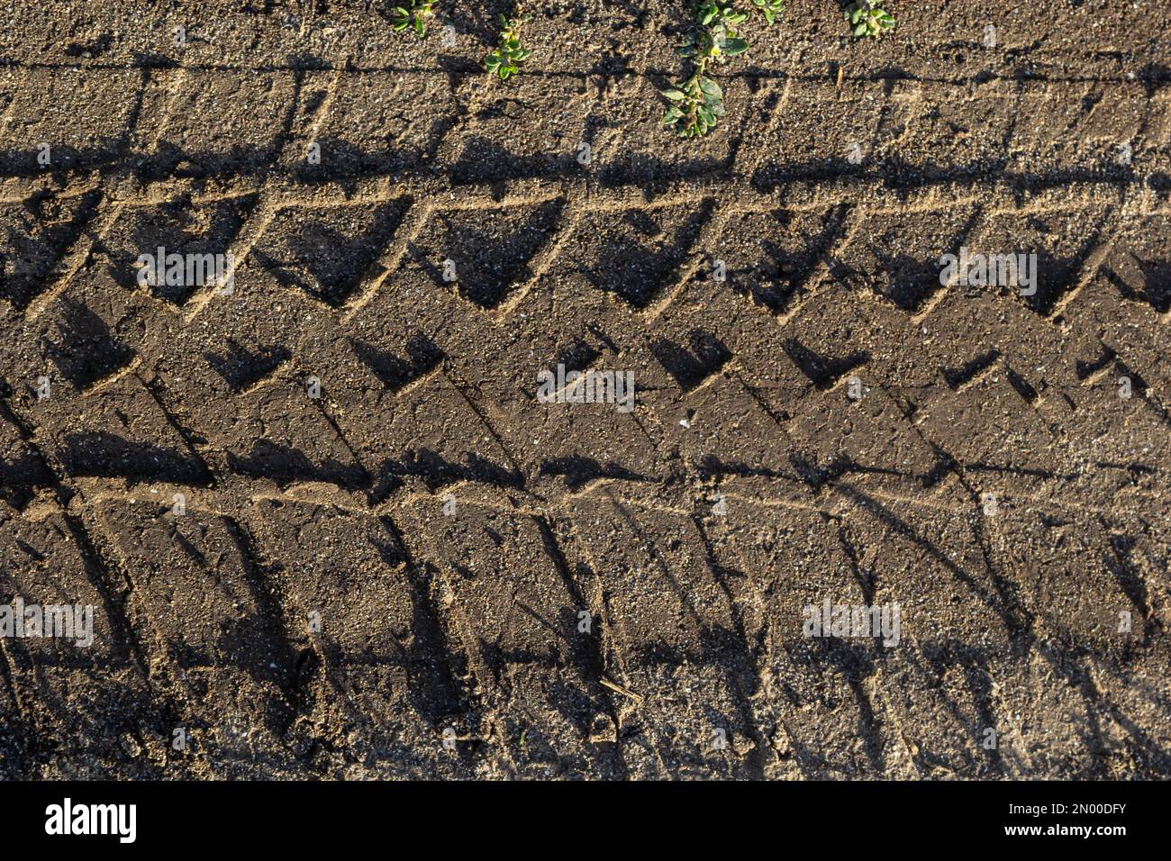 Deep tractor tire trail on a green grass in a field, Agriculture ...