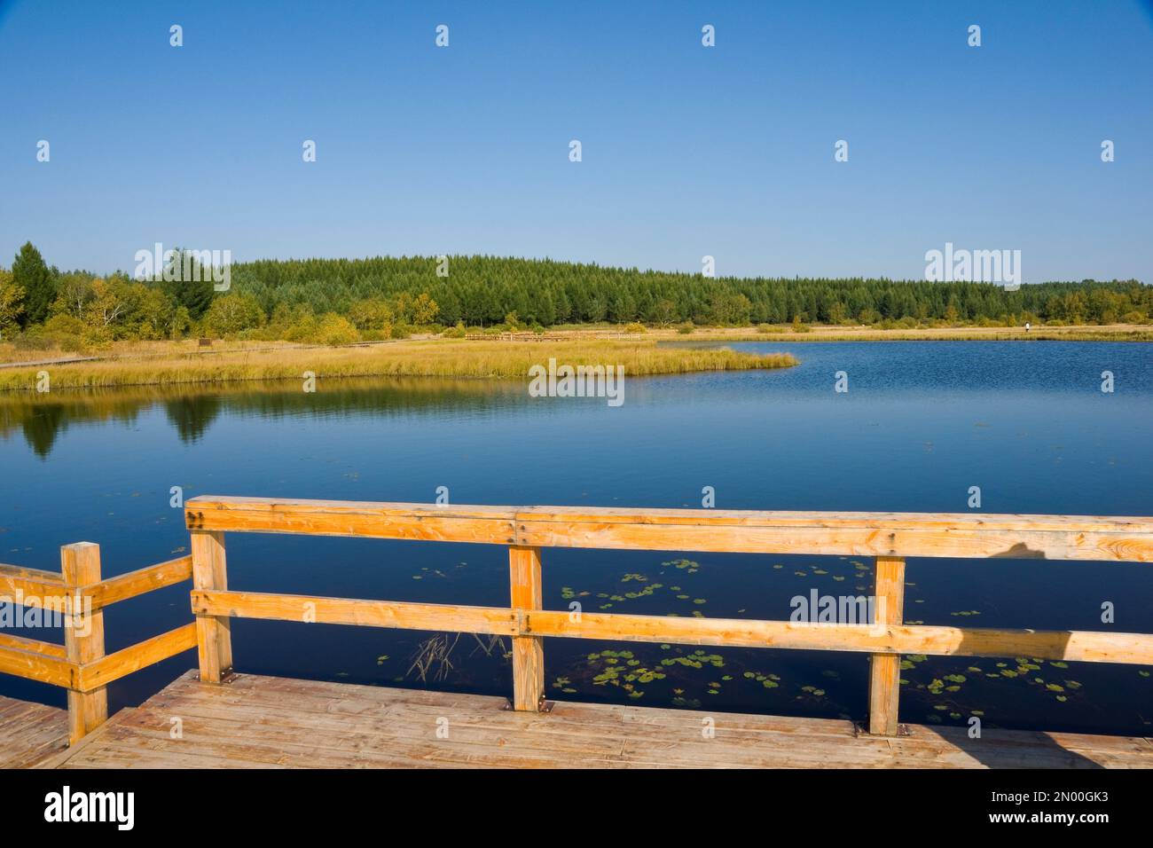 Chengde in hebei bashang grassland hi-res stock photography and images ...