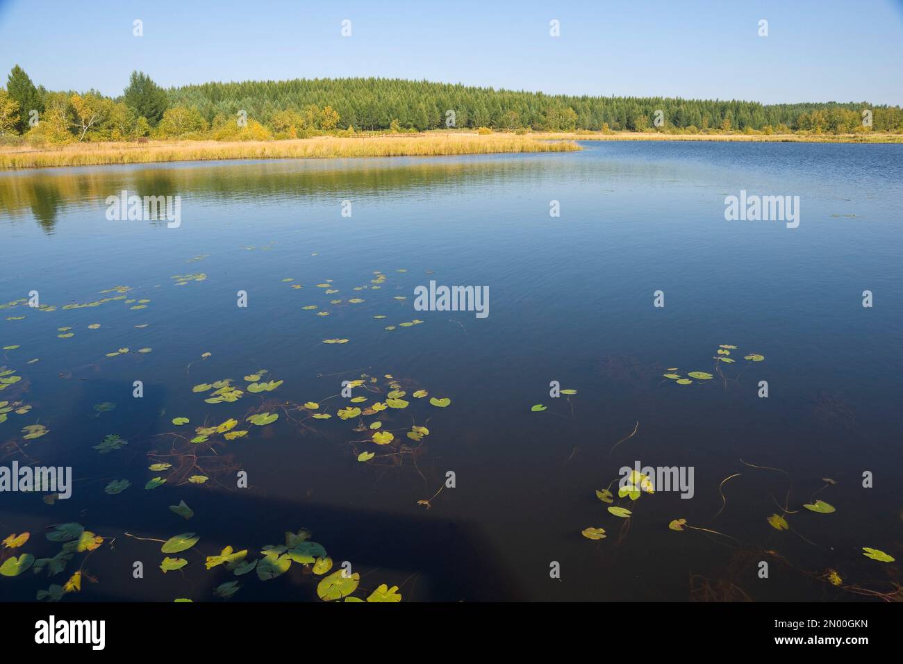 Chengde hebei bashang scenery hi-res stock photography and images - Alamy