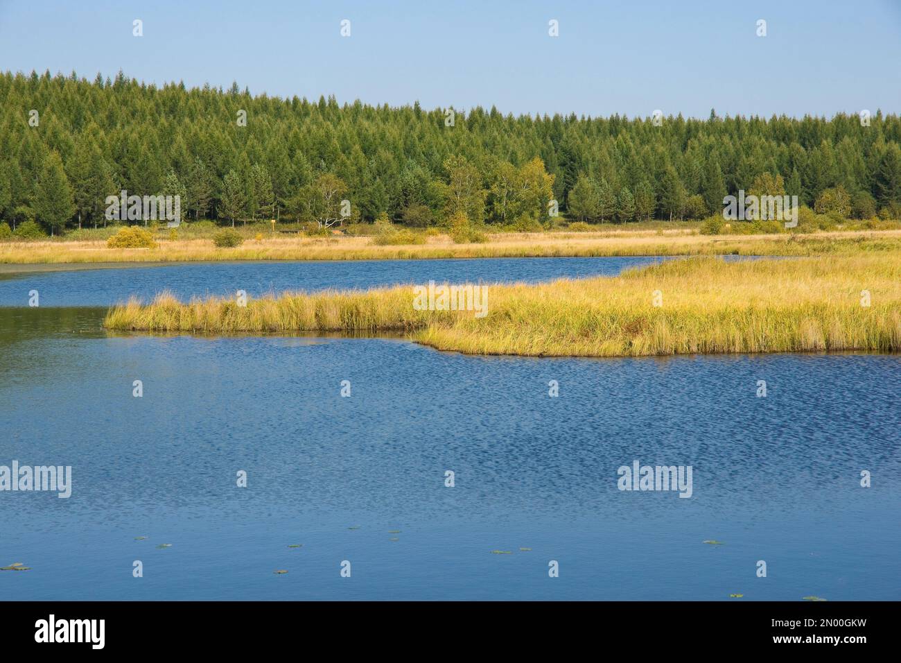 Chengde in hebei bashang grassland hi-res stock photography and images ...