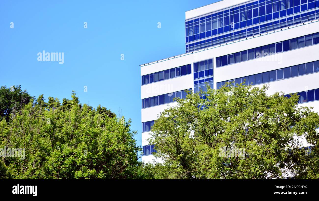 Eco architecture. Green tree and glass office building. The harmony of ...