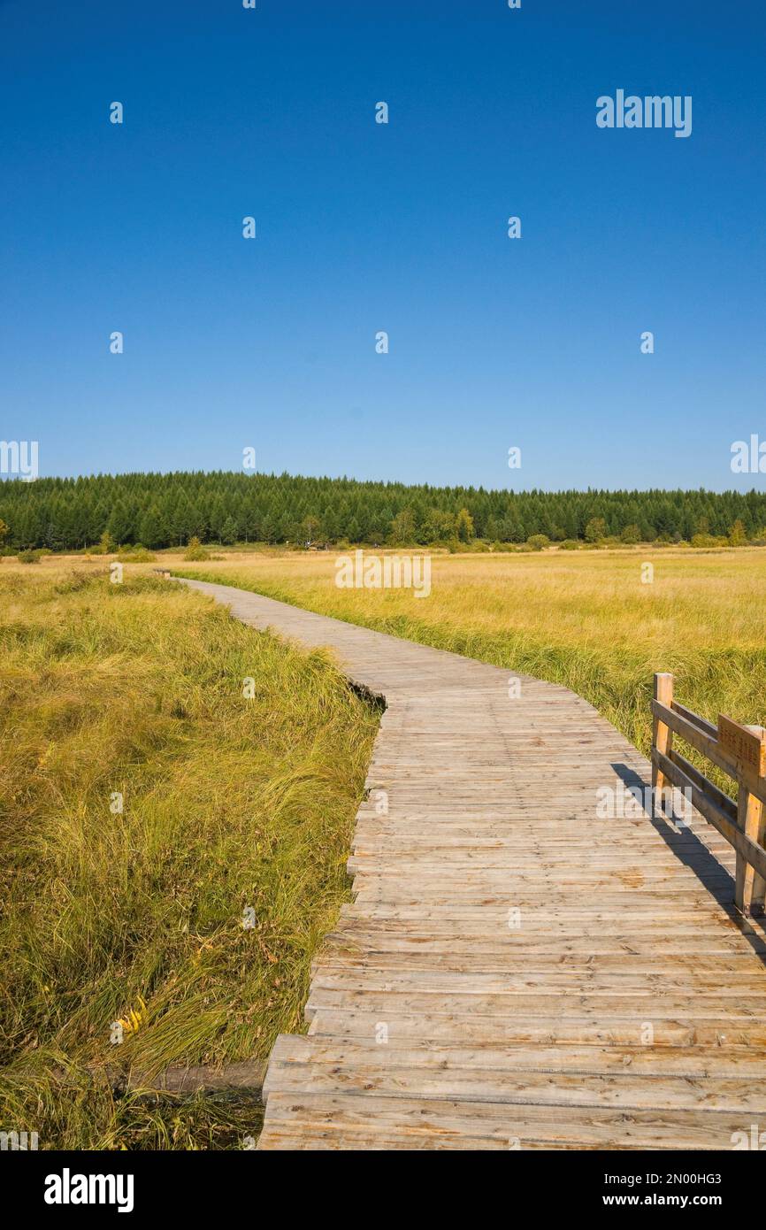 Chengde in hebei bashang grassland hi-res stock photography and images ...