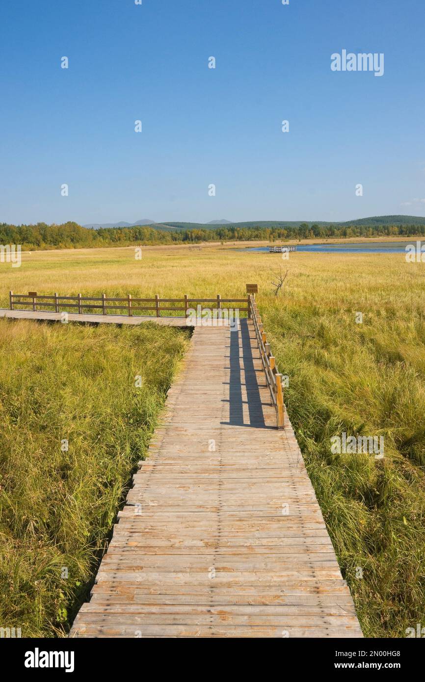 Chengde in hebei bashang grassland hi-res stock photography and images ...