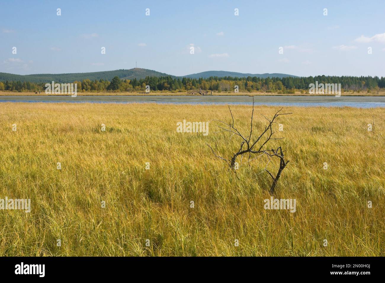 Chengde in hebei bashang grassland hi-res stock photography and images ...