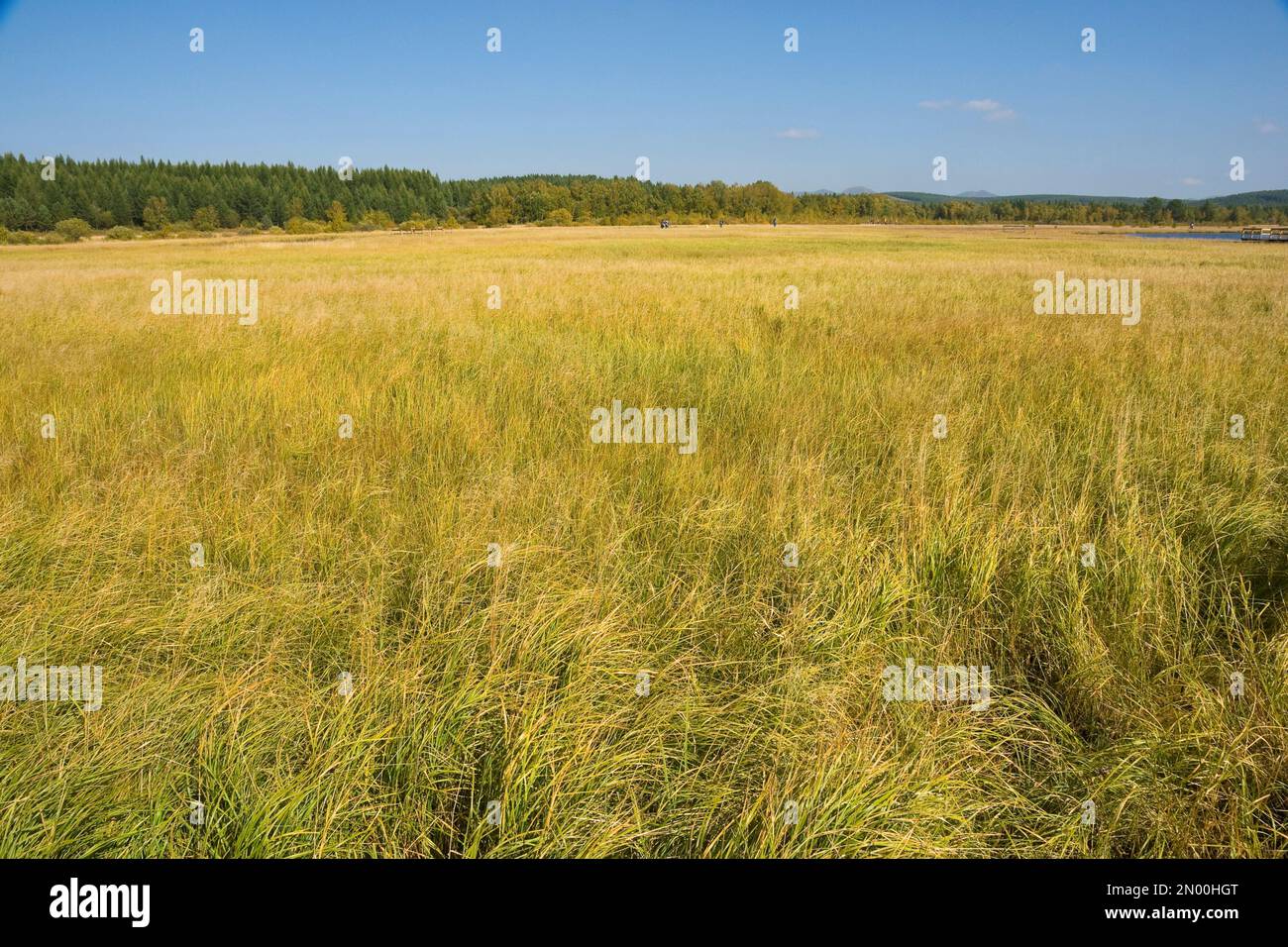 Chengde in hebei bashang grassland hi-res stock photography and images ...