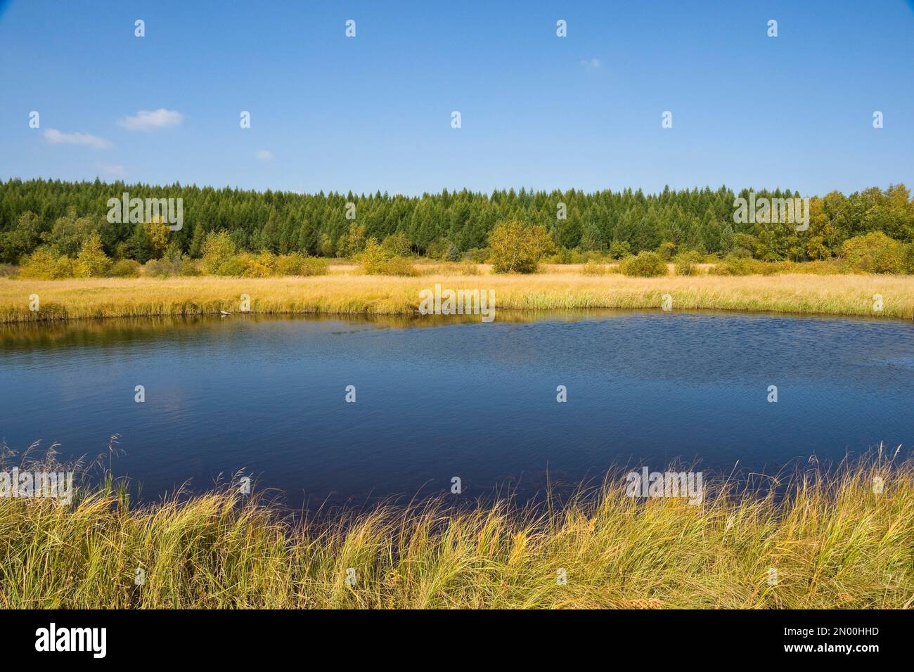 Chengde in hebei bashang grassland hi-res stock photography and images ...
