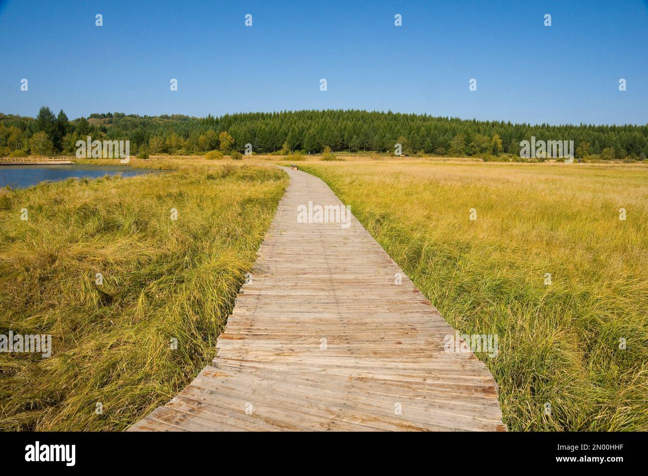 Chengde in hebei bashang grassland hi-res stock photography and images ...