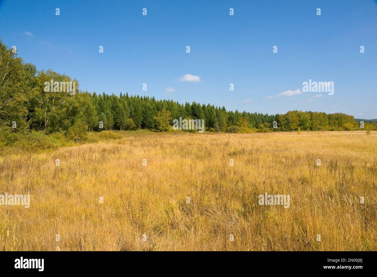 Chengde hebei bashang scenery hi-res stock photography and images - Alamy