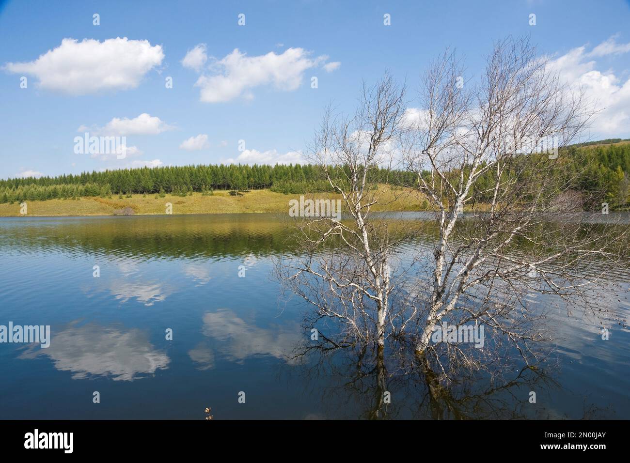 Chengde lake china hi-res stock photography and images - Alamy