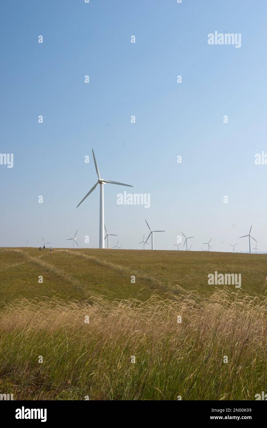 Chengde hebei bashang scenery hi-res stock photography and images - Alamy