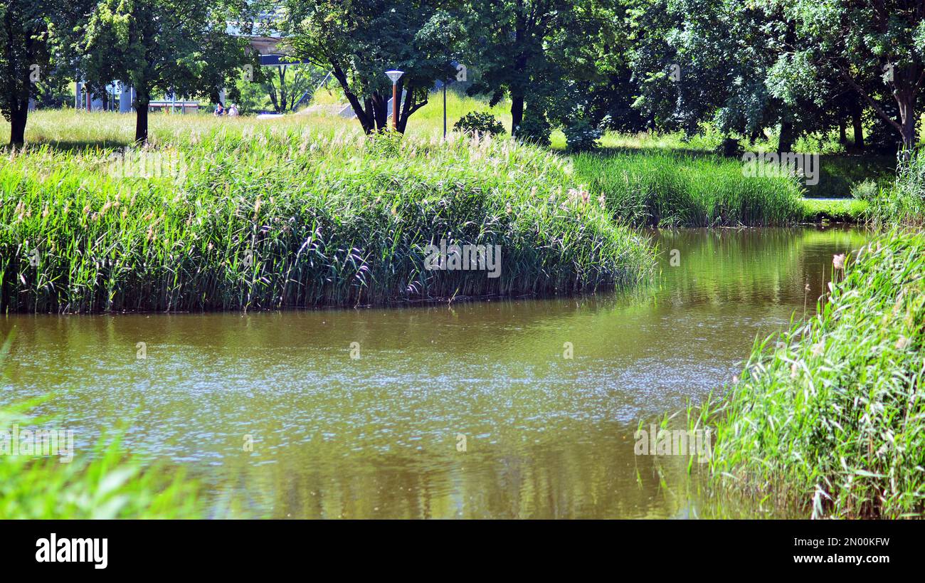 Garden path around pond hi-res stock photography and images - Alamy