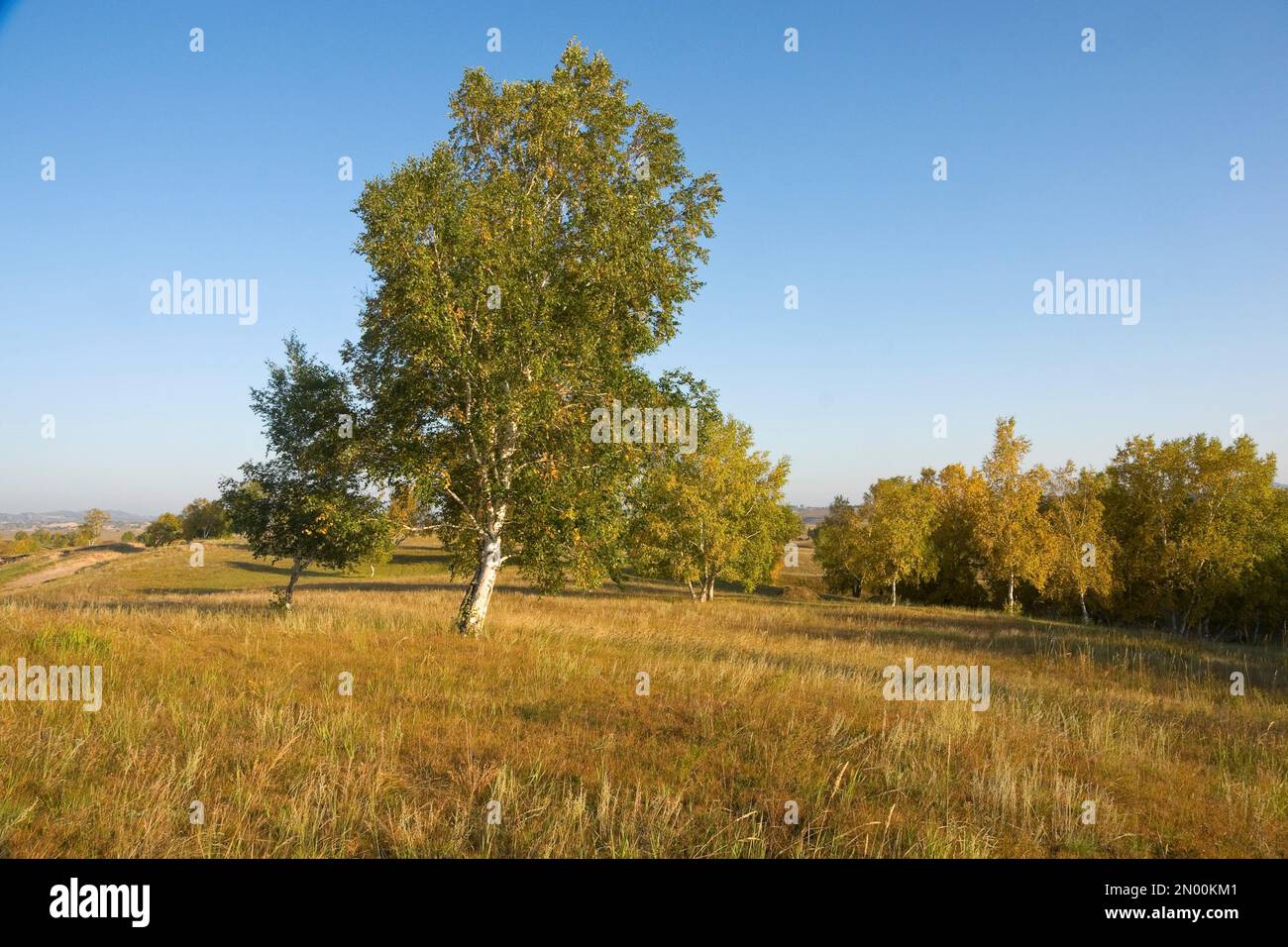Chengde hebei bashang scenery hi-res stock photography and images - Alamy