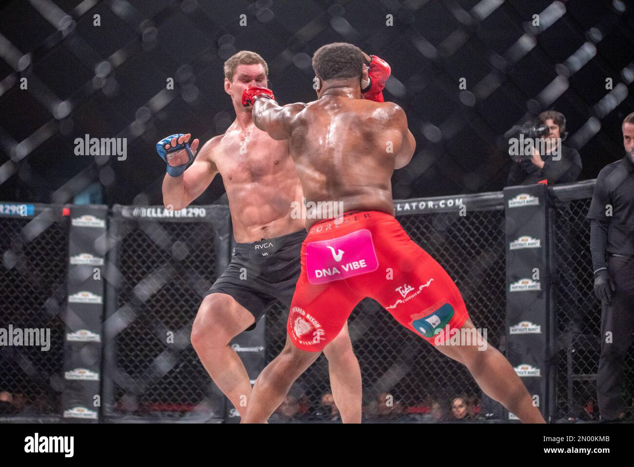 Neal davies hi-res stock photography and images - Alamy