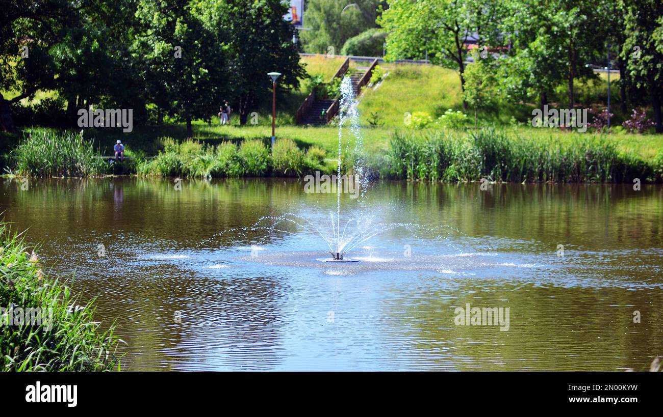 Green foliage around pond hi-res stock photography and images - Alamy
