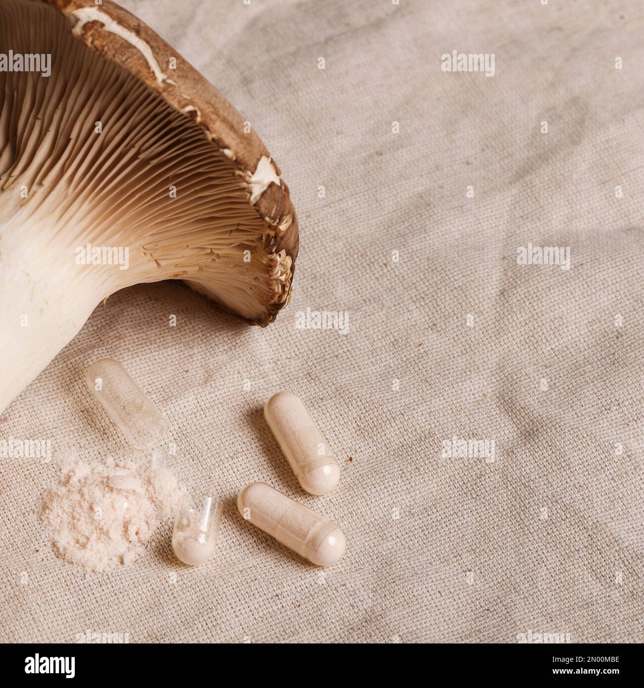 mushrooms and natural herbal pills on textile gray background ...