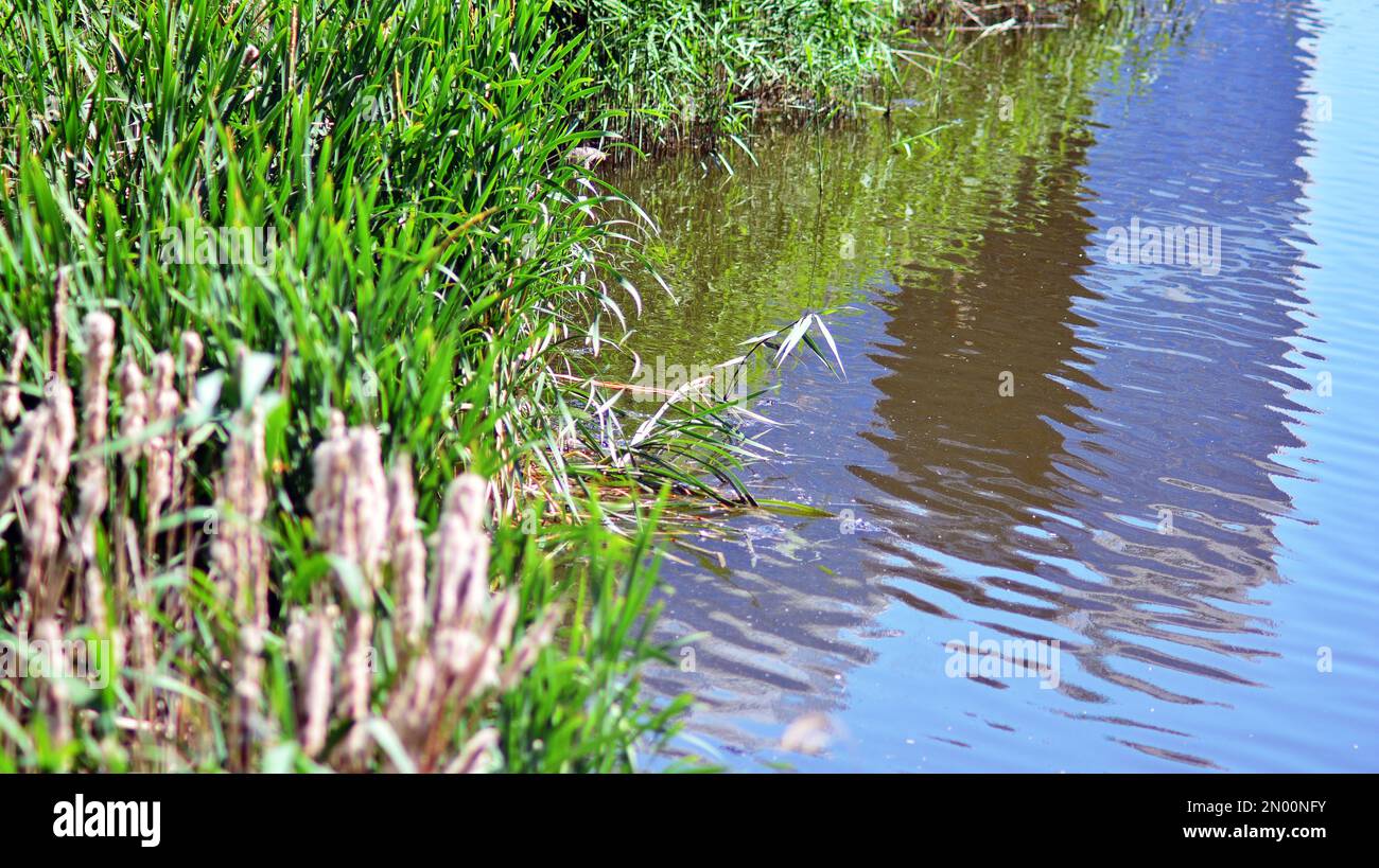 Walk around a pond hi-res stock photography and images - Alamy