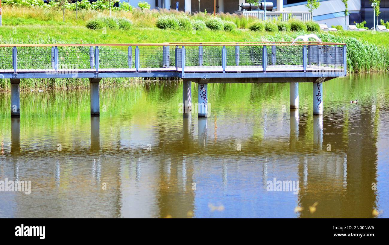 Green foliage around pond hi-res stock photography and images - Alamy