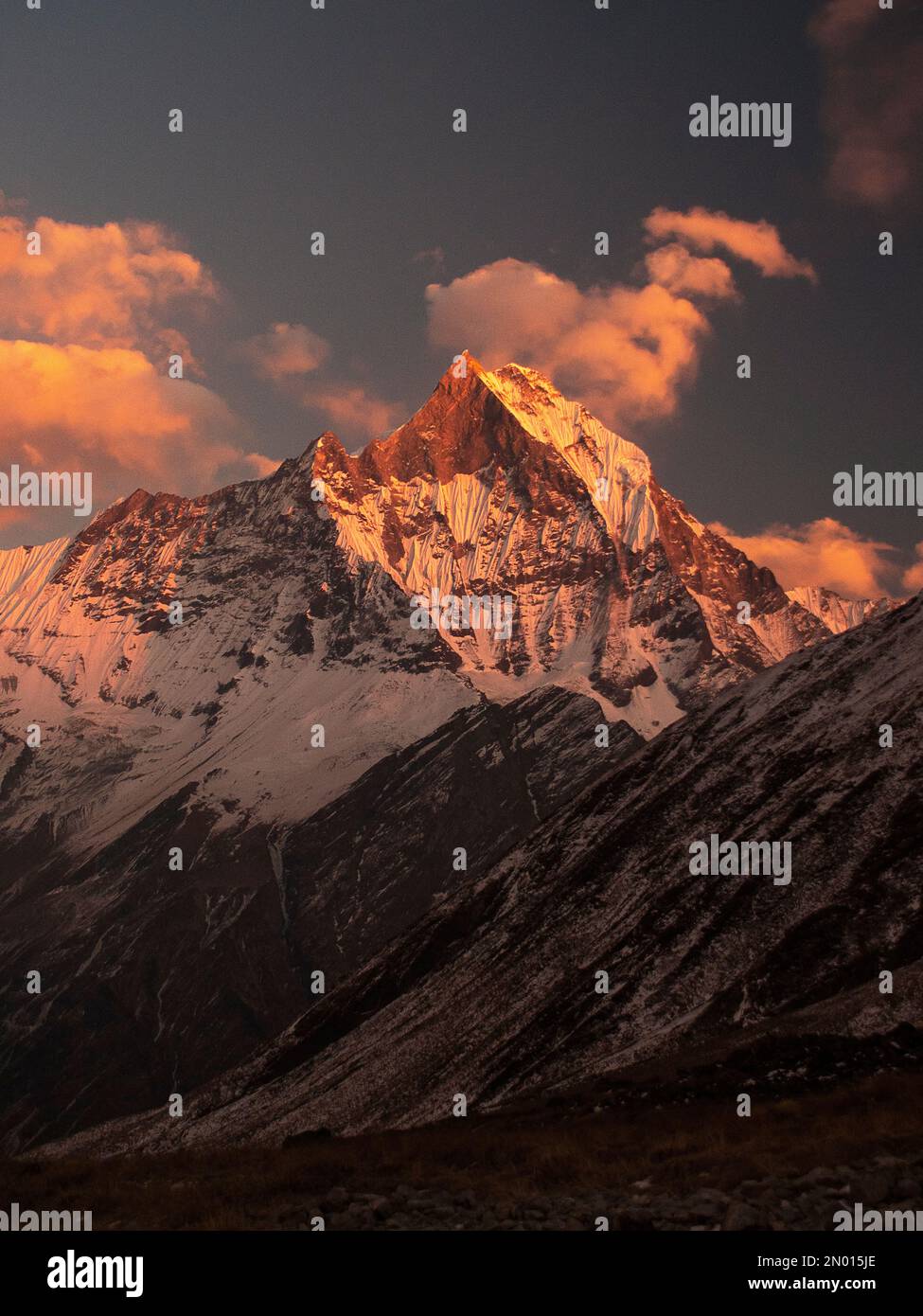 Nepal. Mt Fishtail Machapuchare in the Himalaya range, Annapurna region, in the sunset ...