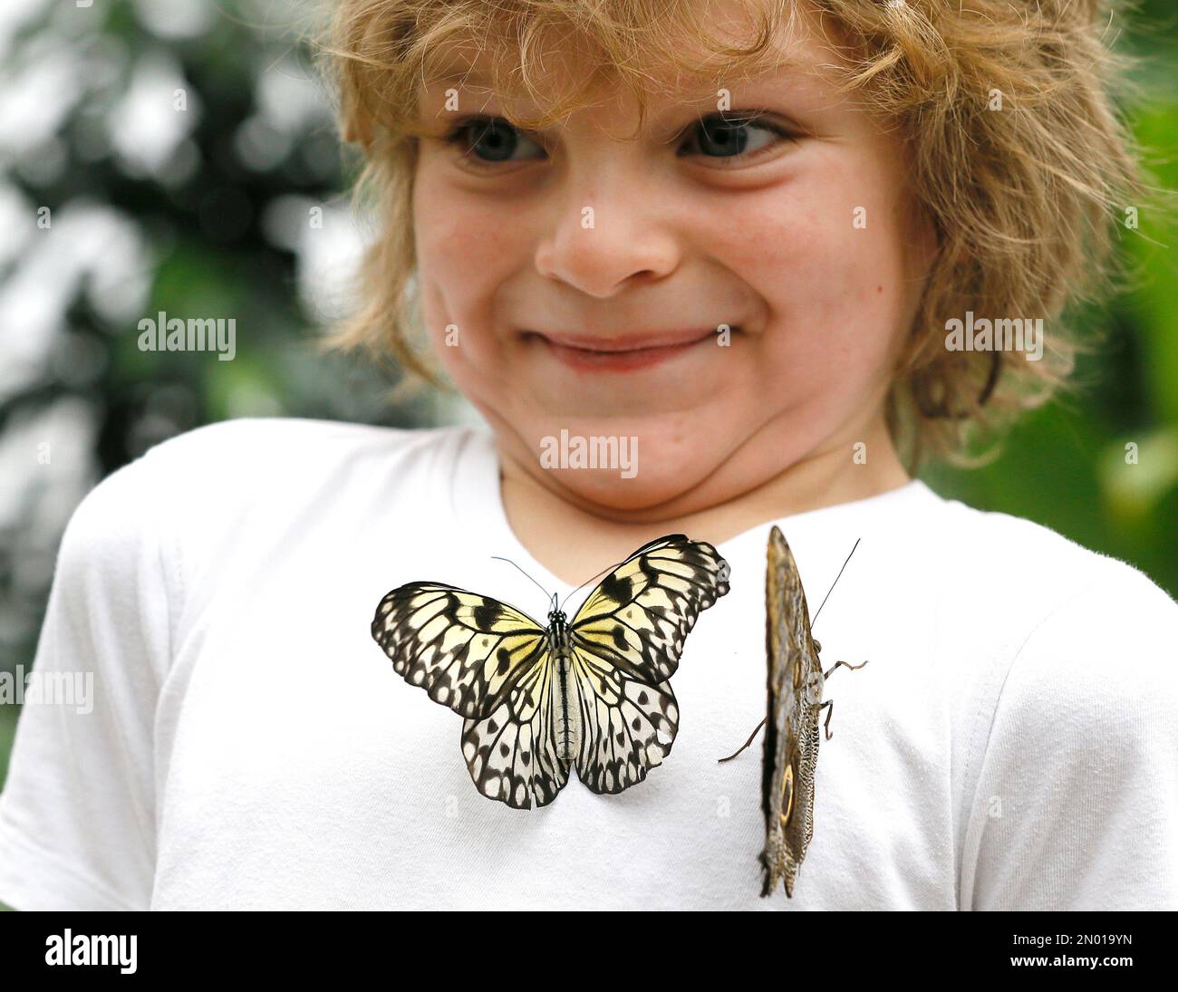 Adam Sharif smiles as butterflies land on his shirt during a photo call ...