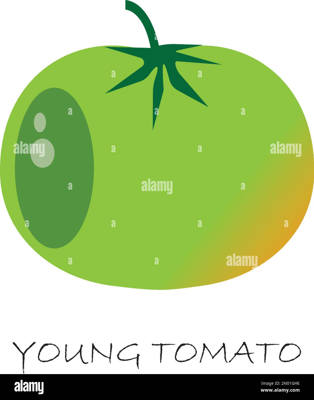 tomato logo vector illustration design Stock Vector Image & Art - Alamy