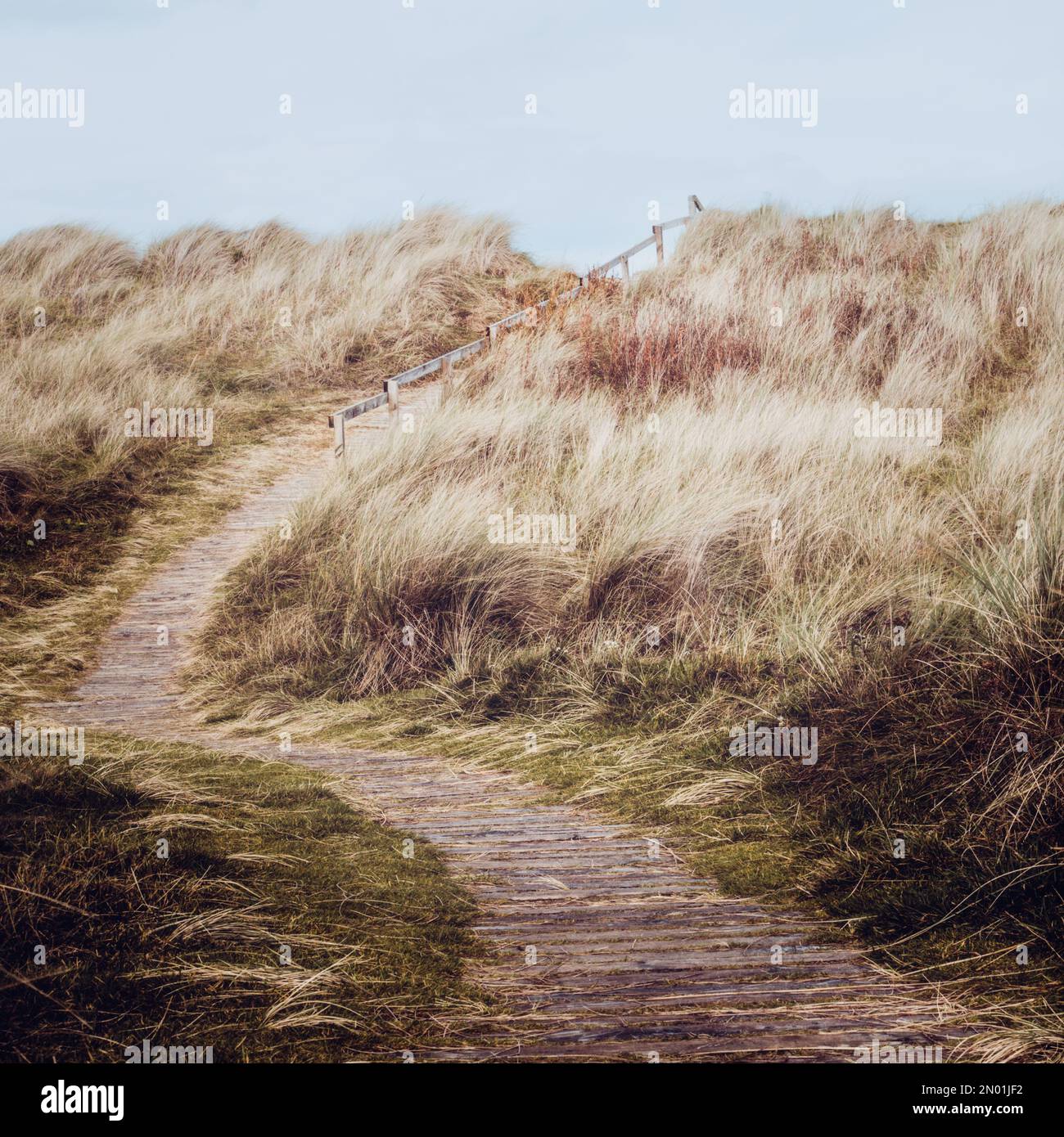 Windy Path Down To Beach