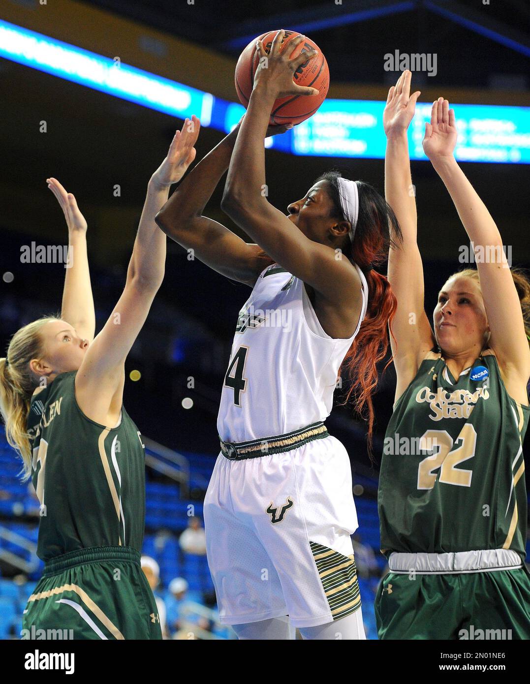 South Florida's Alisia Jenkins shoots against Colorado State's Stine ...