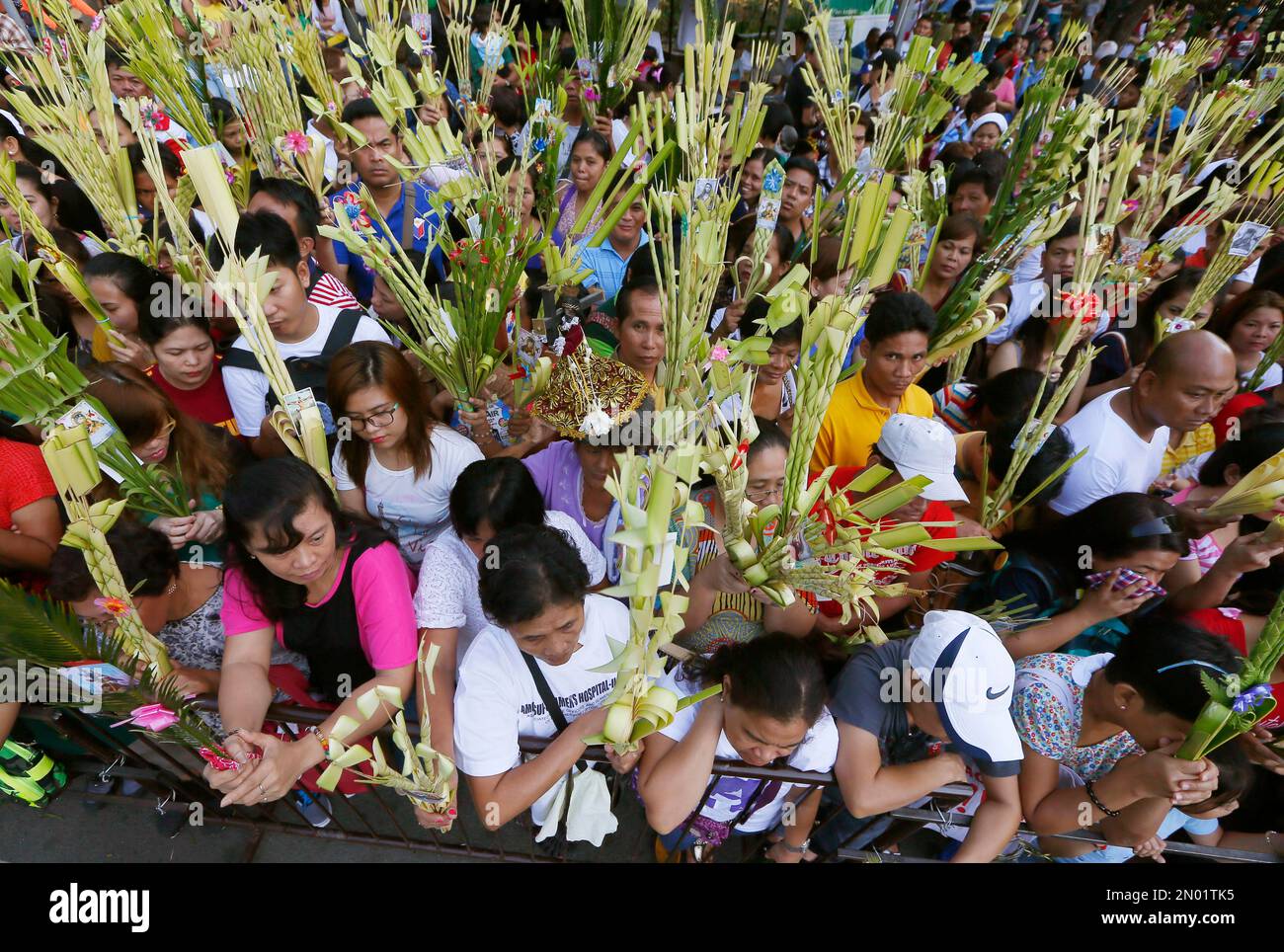 Roman Catholic devotees carry palm fronds to be blessed by a priest as ...