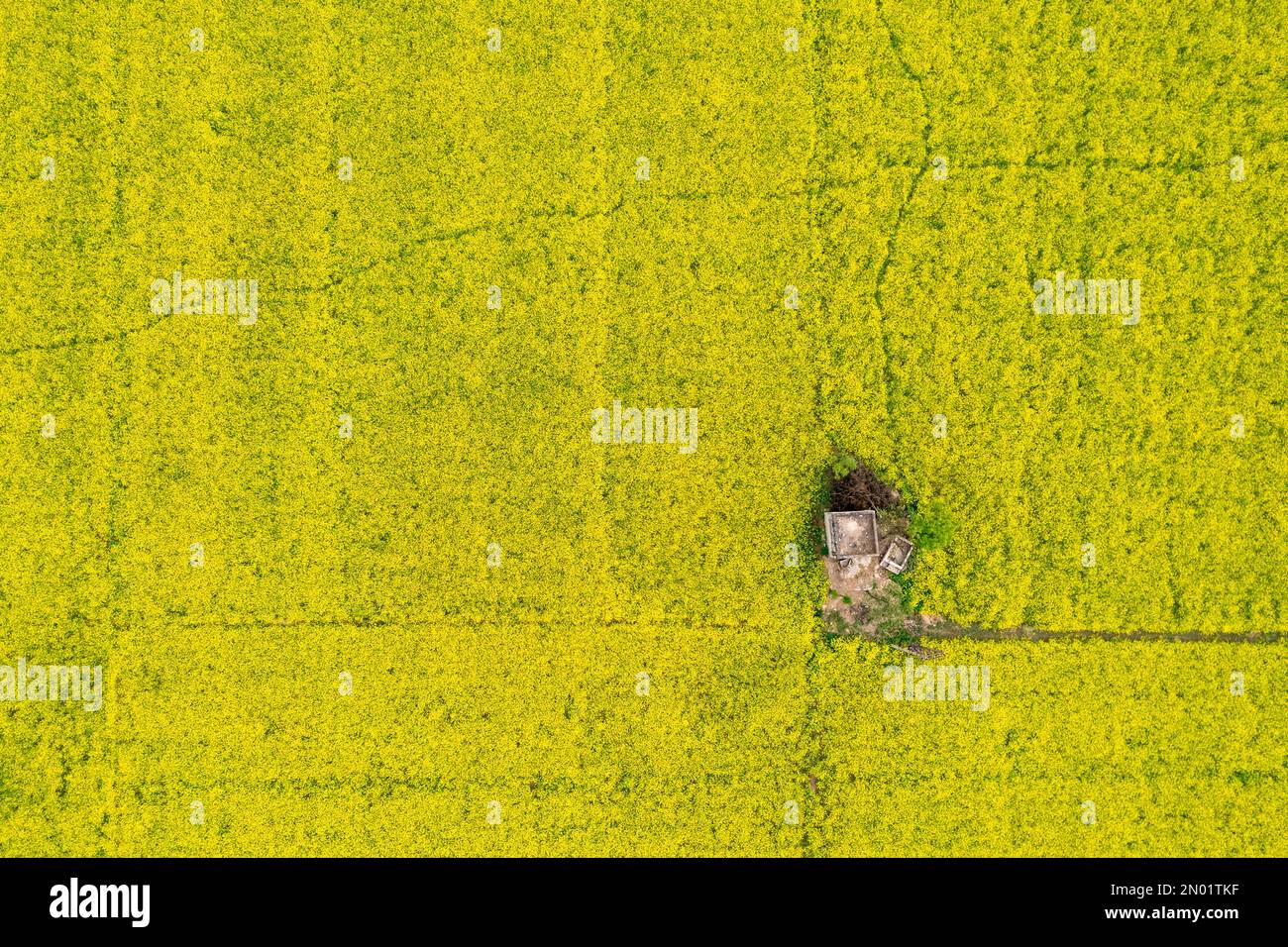 Reveal shot pan up hi-res stock photography and images - Alamy