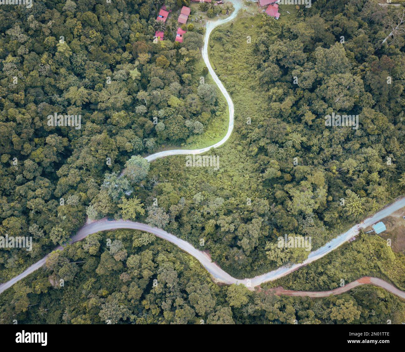 Road through the green rainforest. Aerial top view forest on misty fog ...