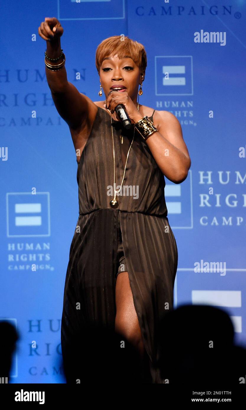 Singer Estelle performs at the Human Rights Campaign 2016 Los Angeles ...