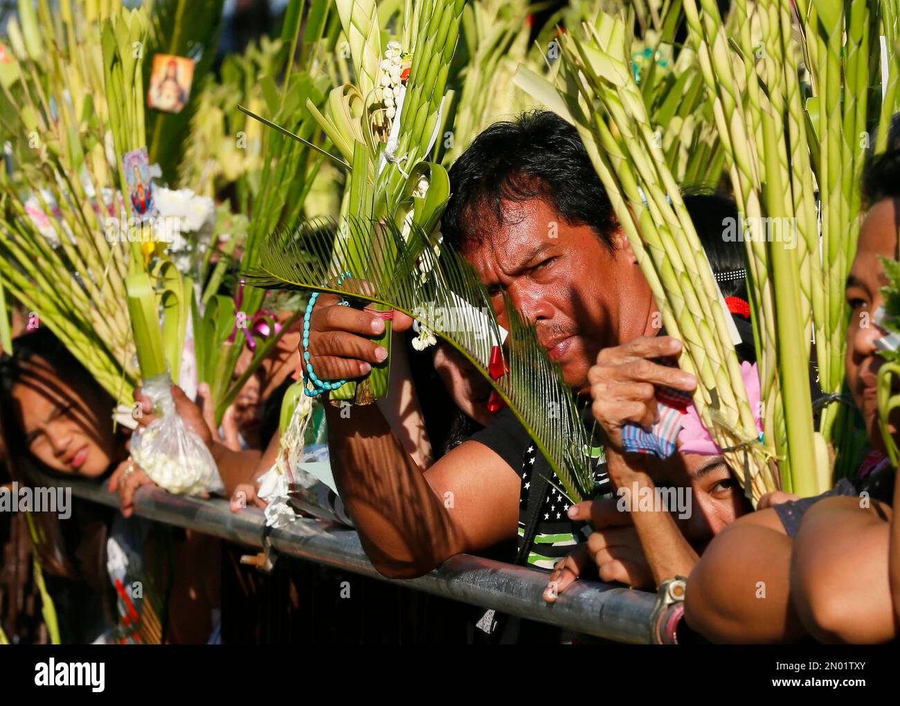 Roman Catholic devotees hold palm fronds to be blessed by a priest to ...