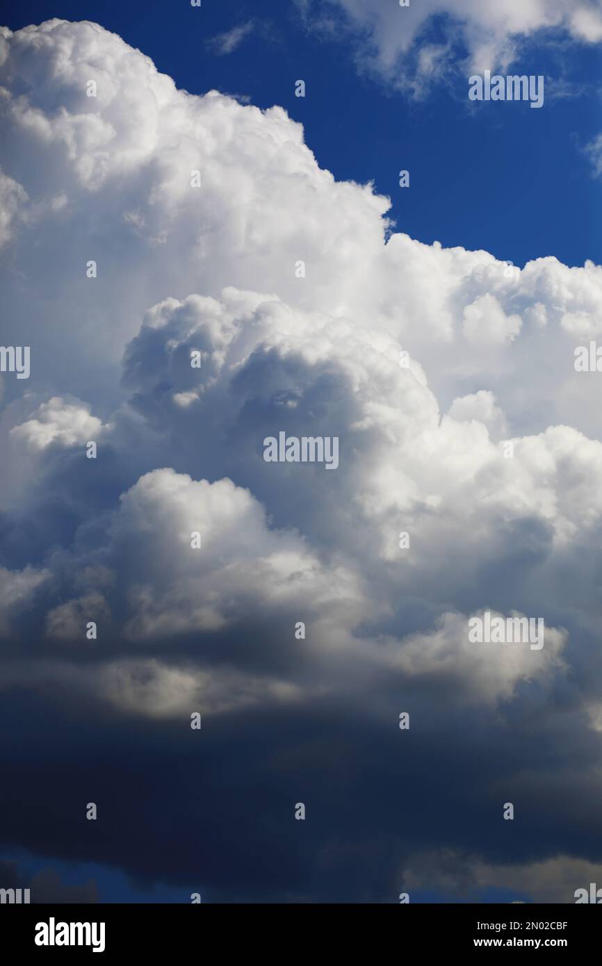 High clouds in the summer sky. Sky background. Meteorological ...