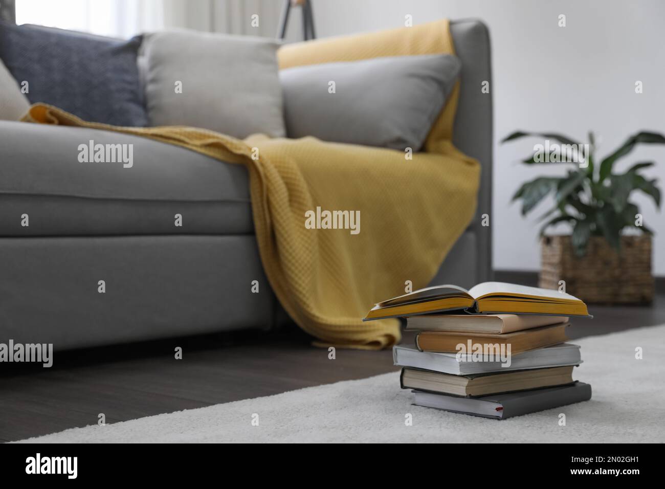 Stack of books near sofa in living room. Interior design Stock Photo ...