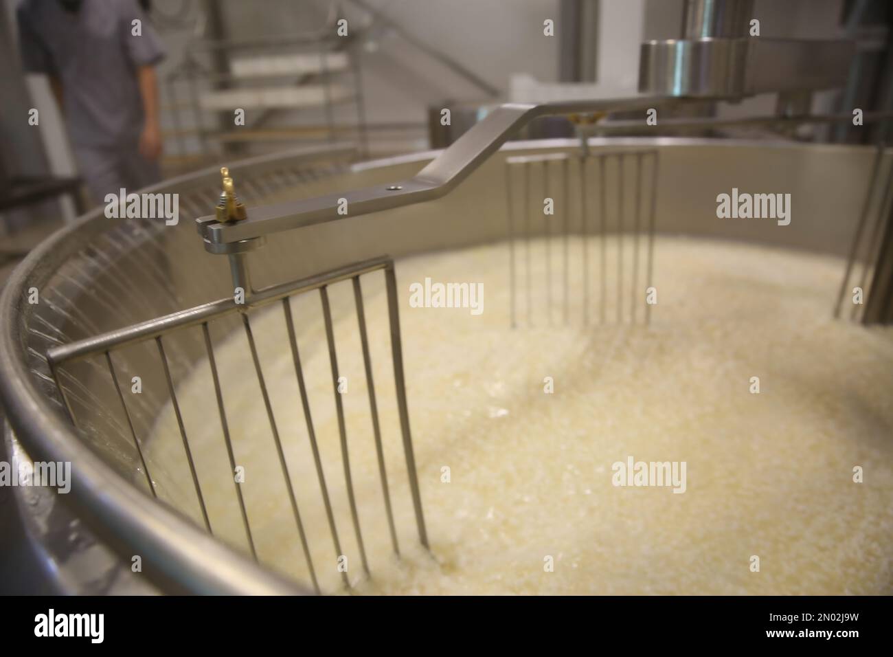 Adding water to curd and whey in tank at cheese factory, closeup Stock ...