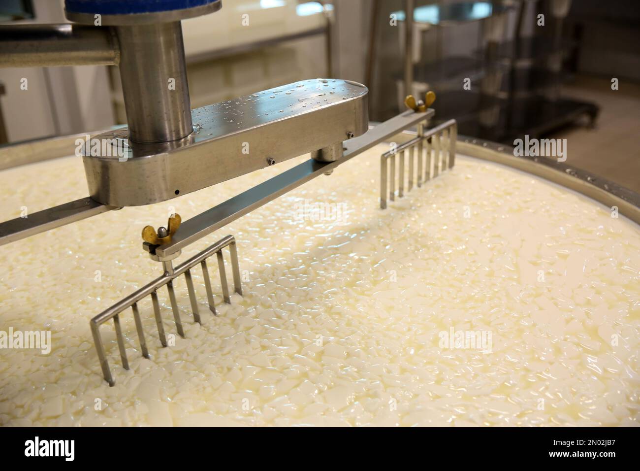 Curd and whey in tank at cheese factory, closeup Stock Photo - Alamy