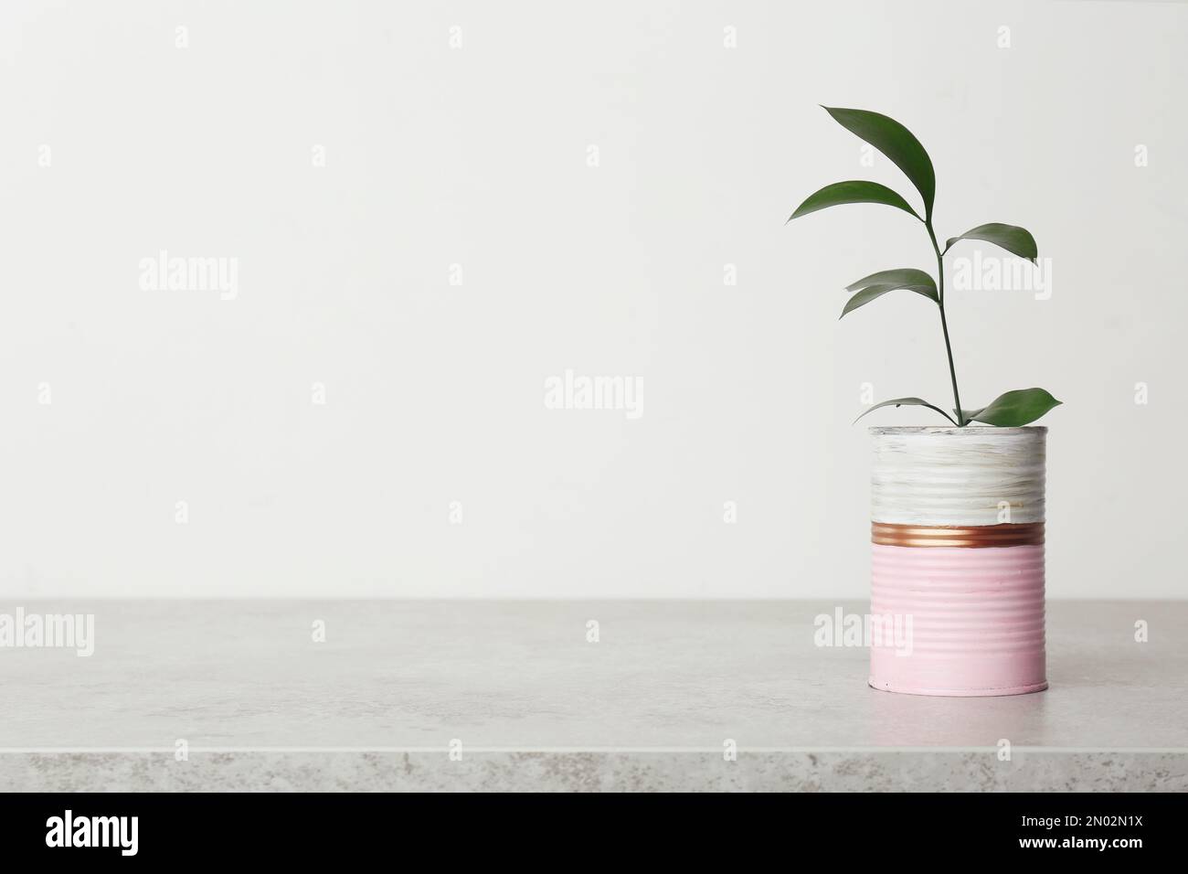 Beautiful houseplant in color tin can on light grey stone table. Space ...