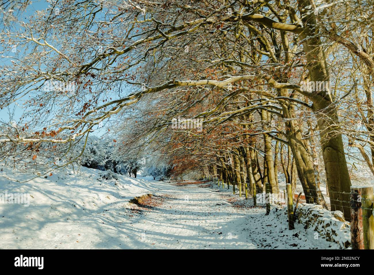 Snow covered hills and wintery scenes on Cleeve Hill, Gloucestershire ...