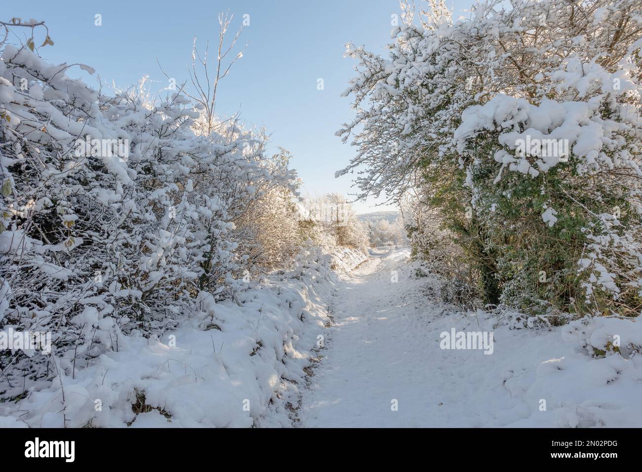 Snow covered hills and wintery scenes on Cleeve Hill, Gloucestershire ...