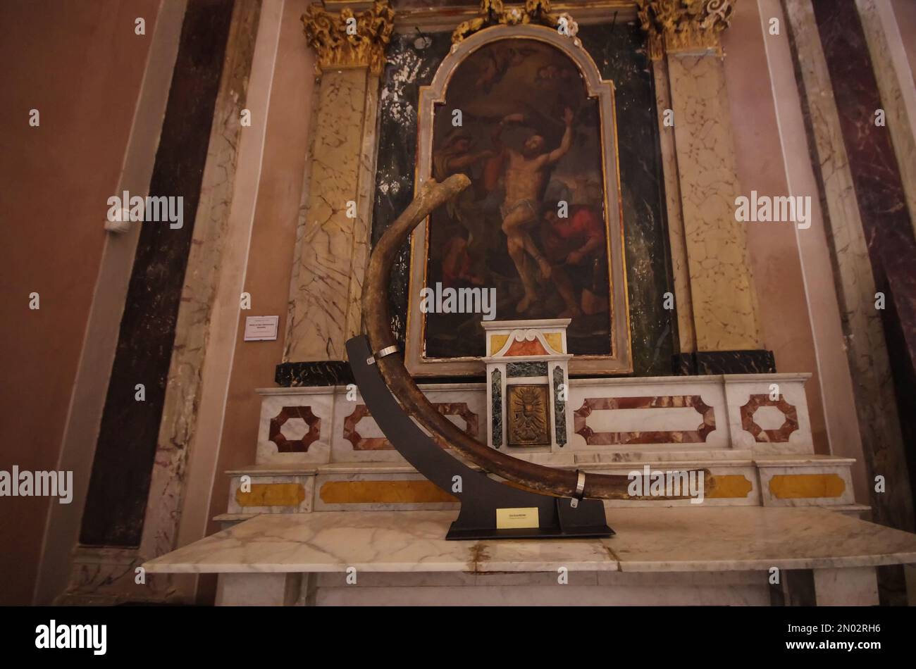 Rib of the dragon preserved in a case inside the Church of San Leucio ...