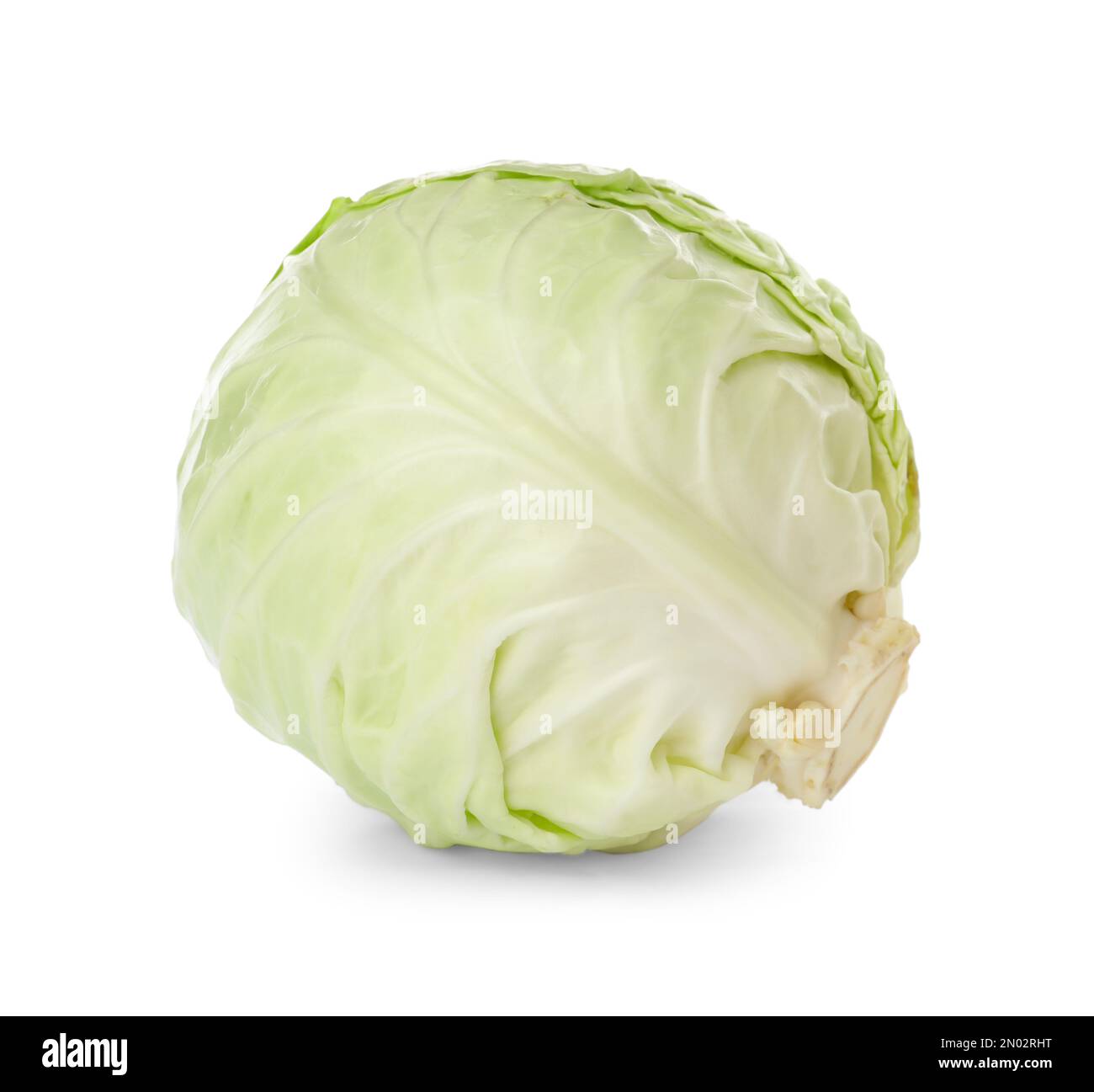 Beautiful cabbage food Cut Out Stock Images & Pictures - Alamy